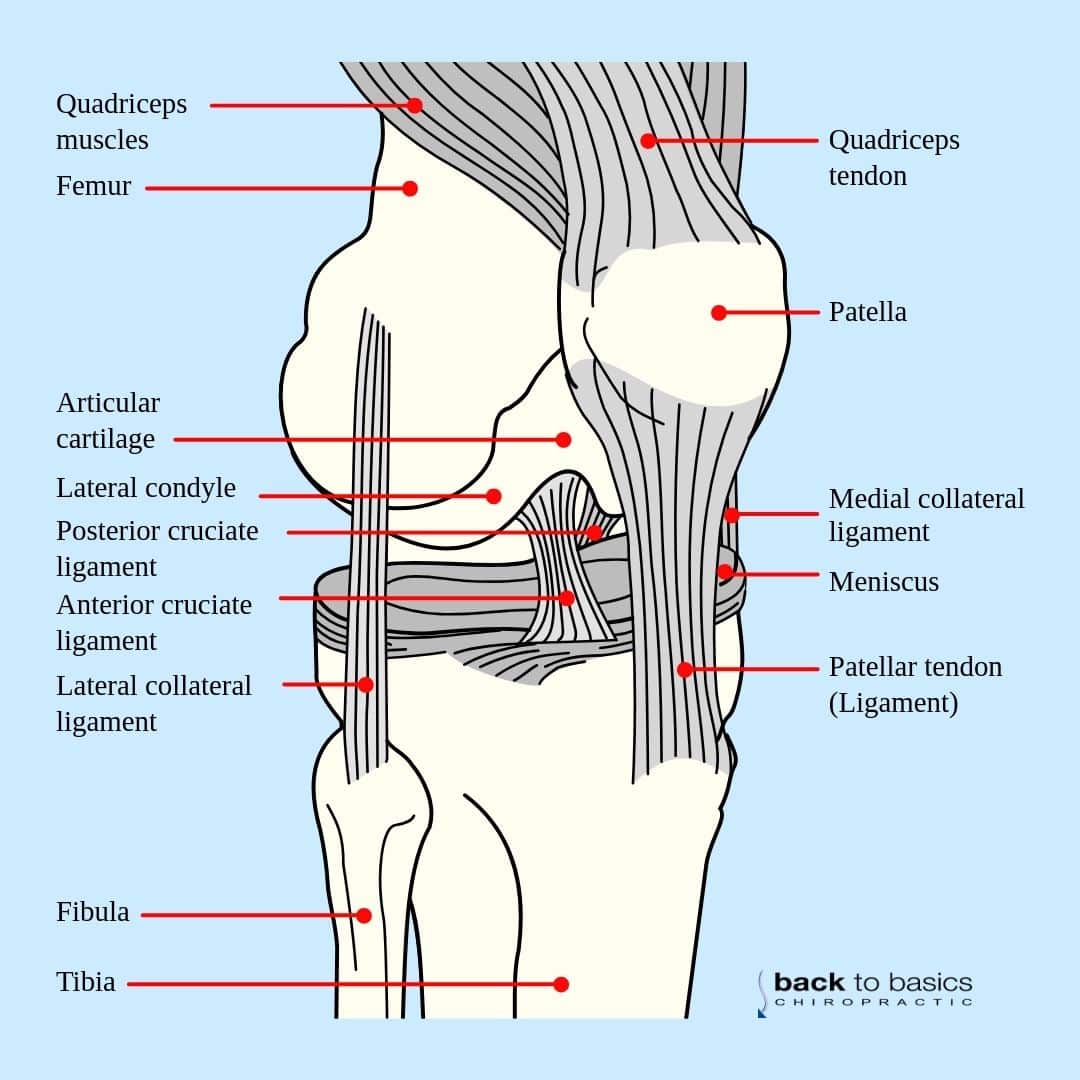 ACL Injury - What You Need to Know